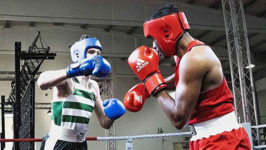 Portimão Box Cup vai juntar mais de 350 pugilistas de 10 países