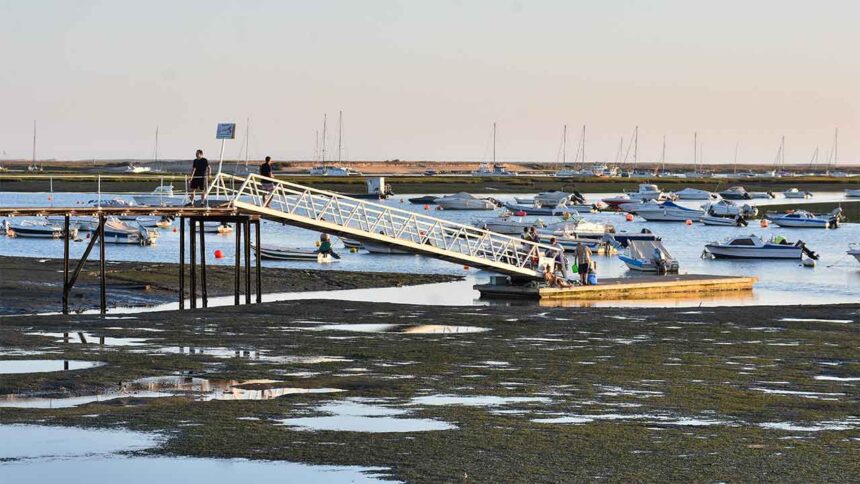 Projeto de neutralidade carbónica «Viagem pelo Clima» chega a Faro