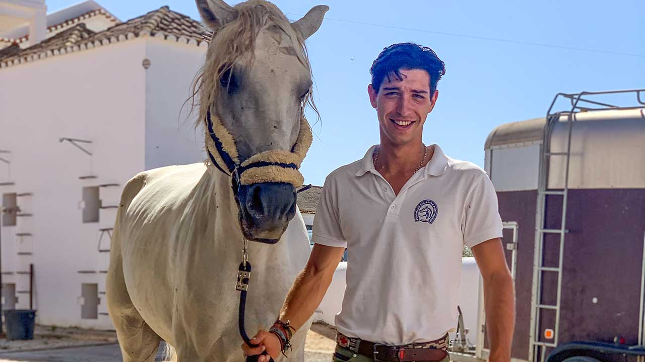 Coudelaria em Albufeira cria cavalos Lusitanos campeões de dressage