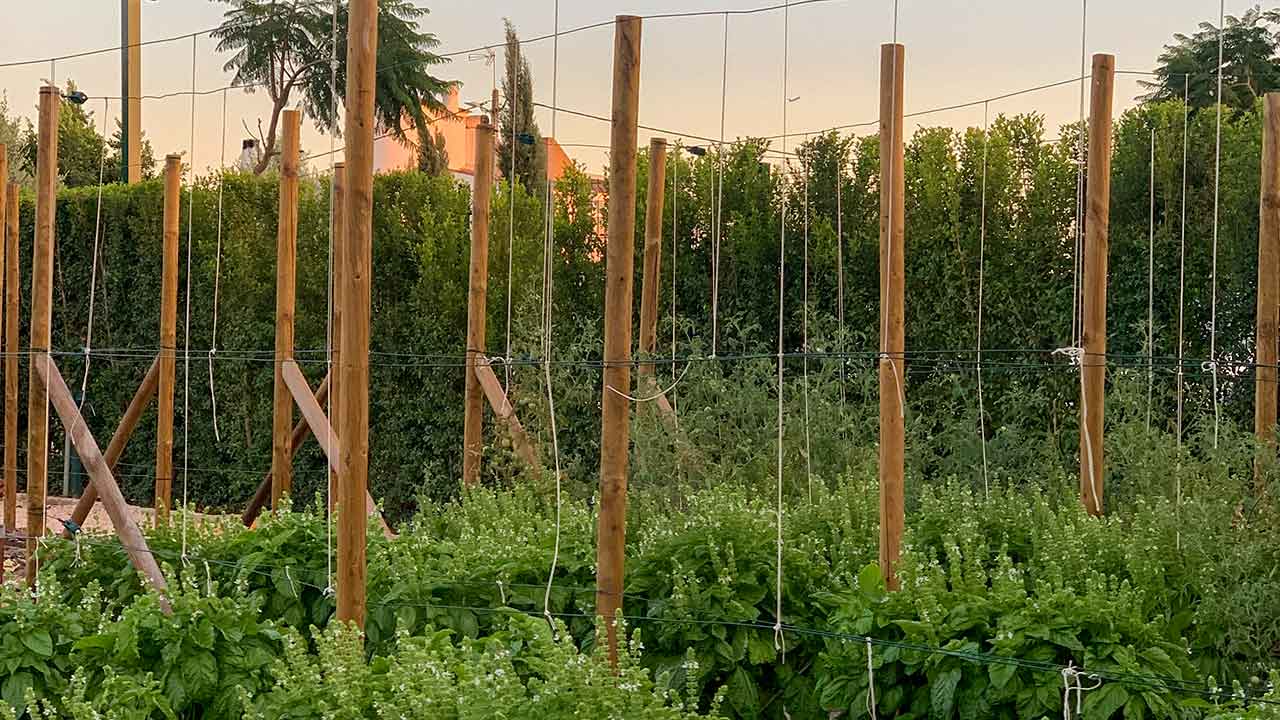 Austa, uma lufada de ar fresco no panorama gastronómico de Almancil